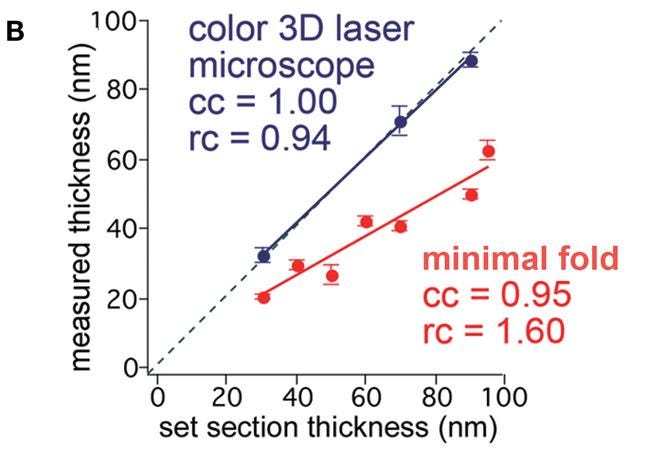 Problems with serial section em image reconstruction