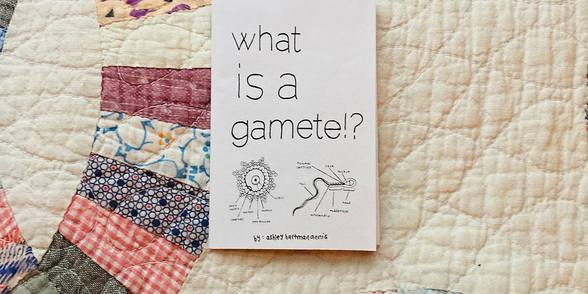 how much do you know about gametes?