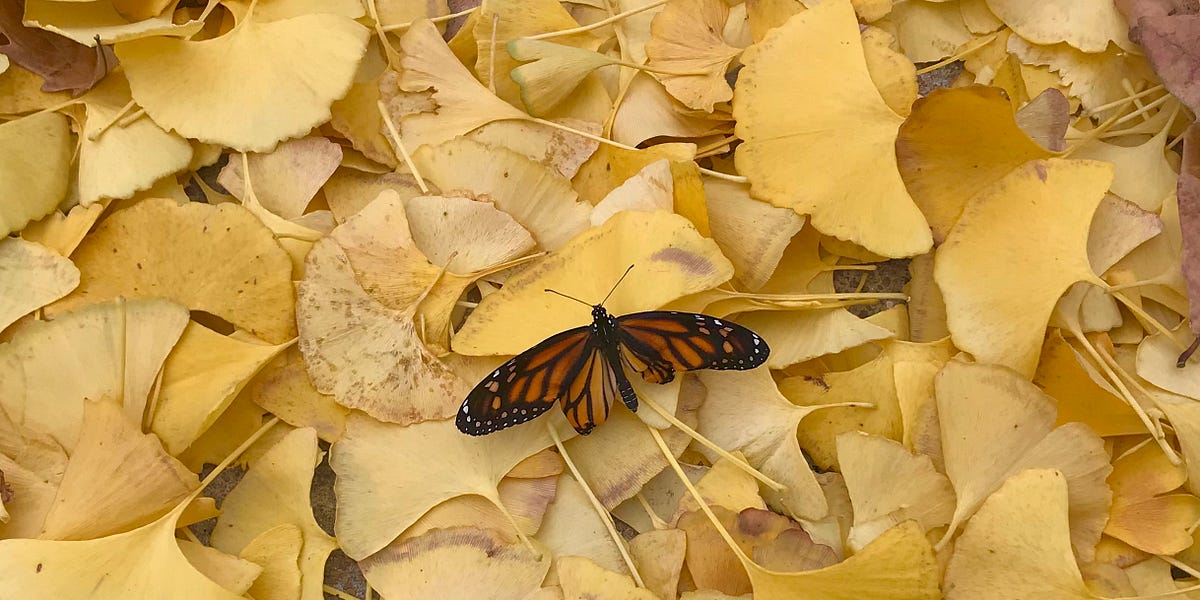 When You Don't Know.. - by Ashley Harkey - Fire & Wind Blog