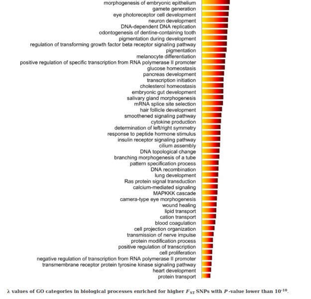 Quantitative genetic and natural selection: 2018-2020 studies