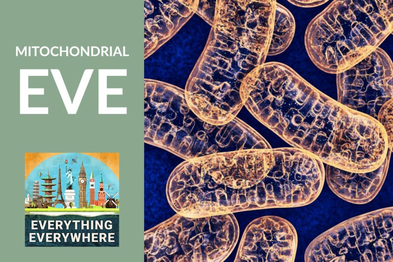 Mitochondrial Eve - by Gary Arndt