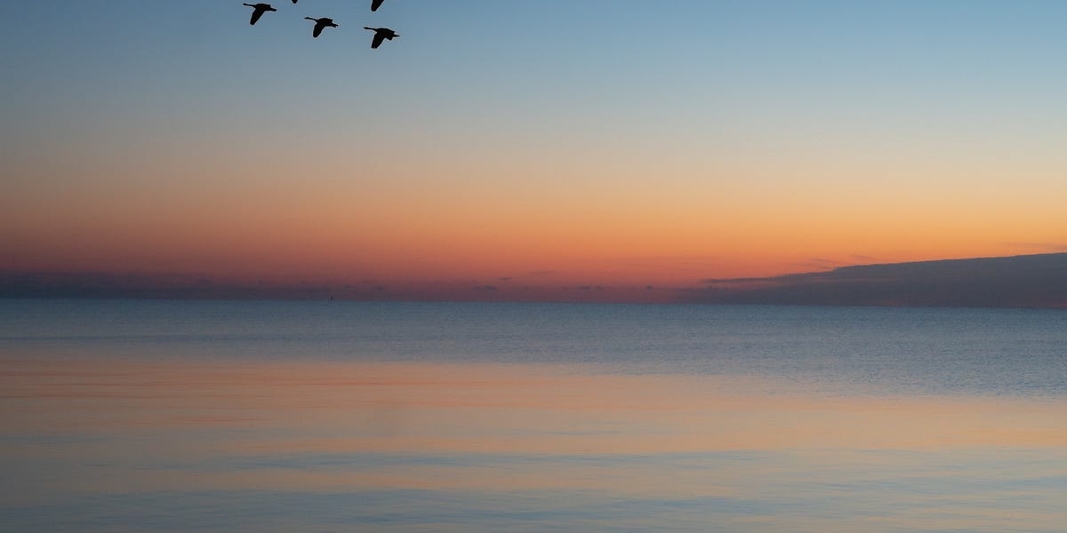 Waves - by Robert Jenkins - Thoughts from my MoonMind