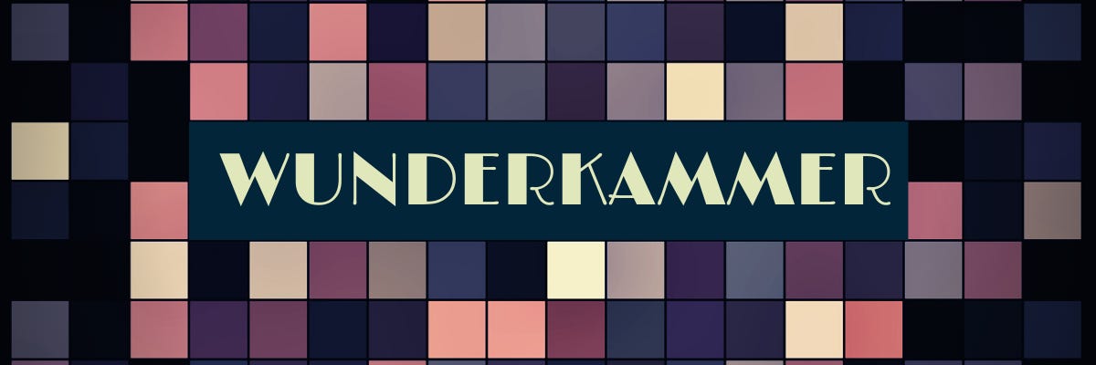 Look Back in Anger - by Autumn Widdoes - Wunderkammer