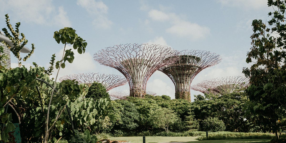 Singapore Joins Forests and Climate Leaders Partnership as a Member Country