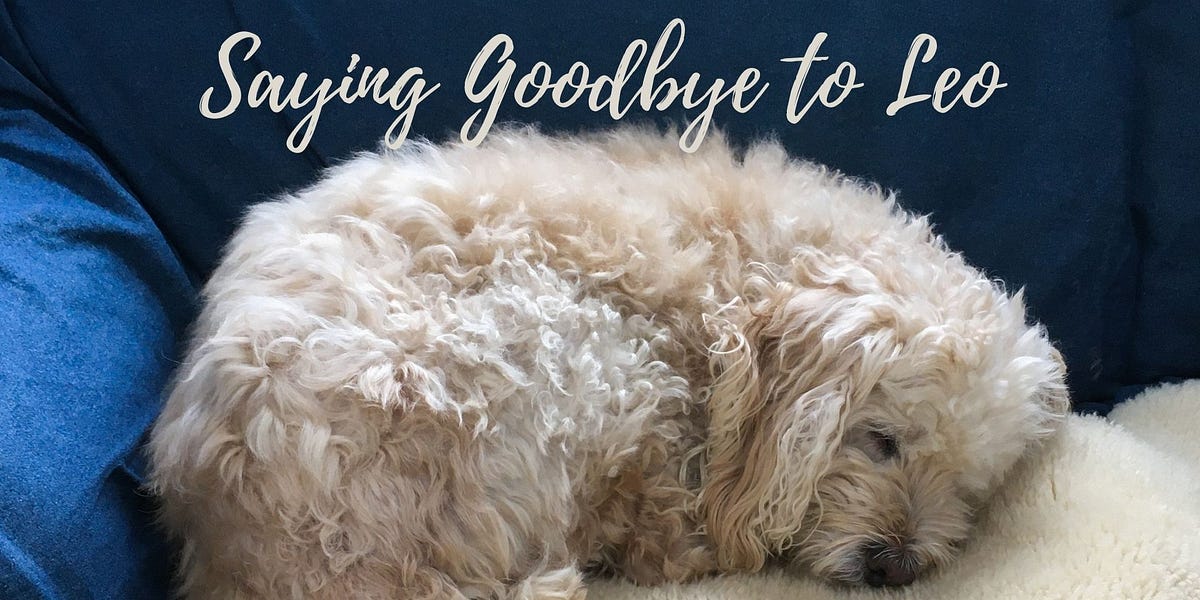 On Losing a Pet - by Dorothy Littell Greco