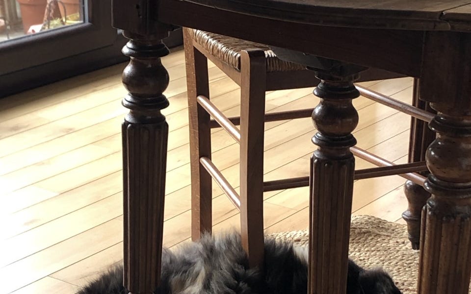 #2 The boring one - by Aggie - Perspectives