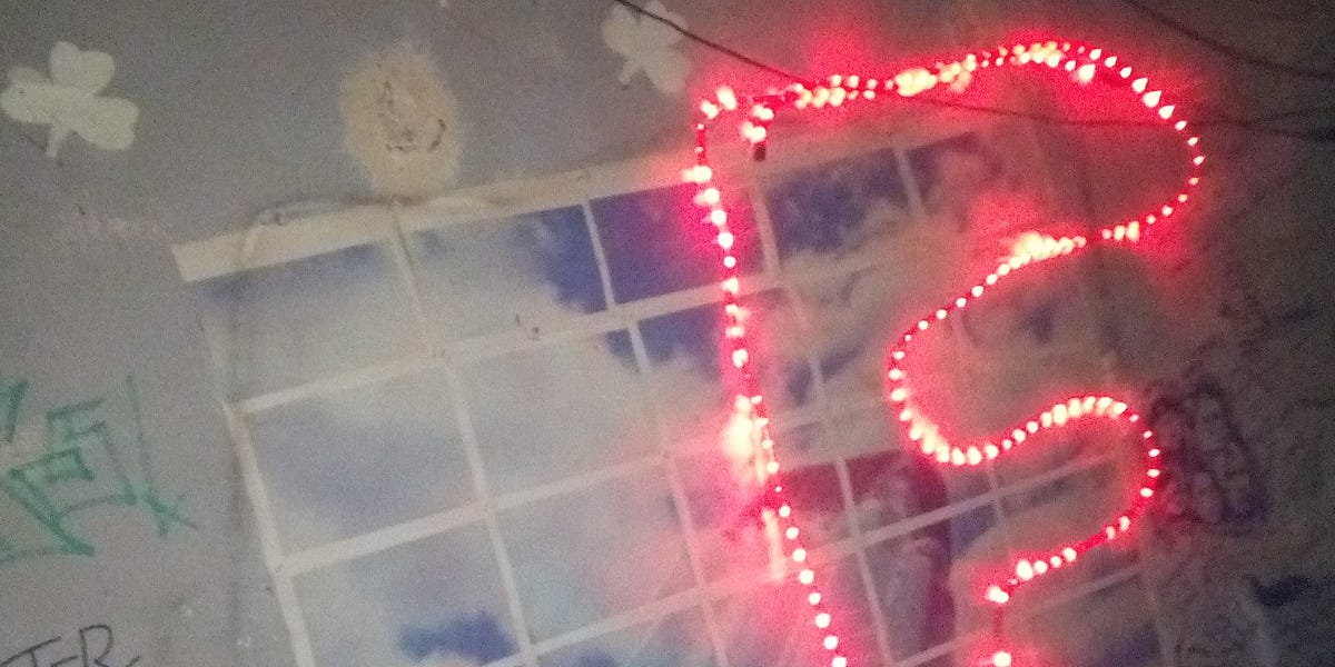 City Punks | fiction - by Shari Lopatin - * On Point