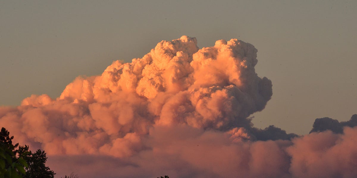 An Interview with Zeke Lunder, of The Lookout