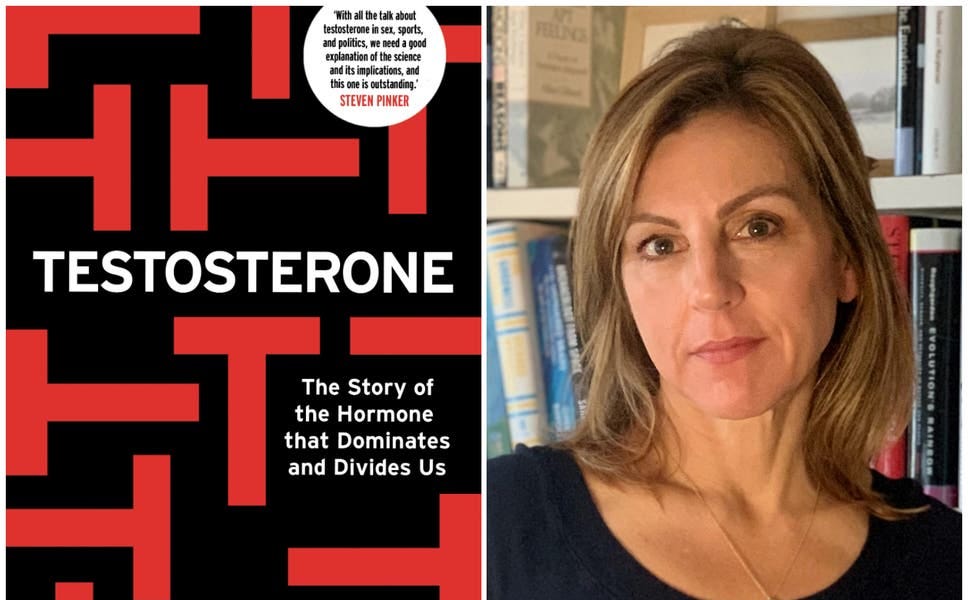 Carole Hooven: let's talk about testosterone