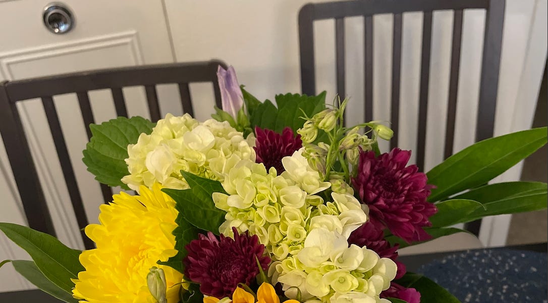 #12: The Fruit Fly and I - by Ariana Newhouse