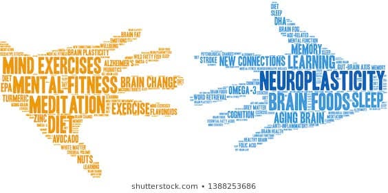 Neuroplasticity, Growth Mindset & The Qur’an