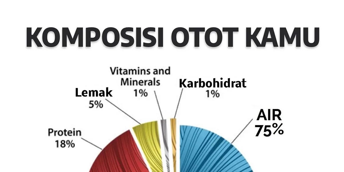 Minum Air Putih dan Massa Otot - by Haris Targunawan