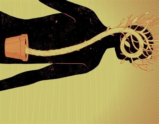 Autism & Gut Health - by The Gut Guru - FMT News