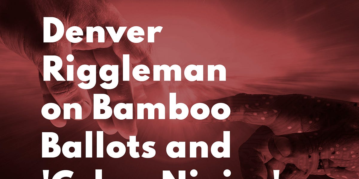 Denver Riggleman on Bamboo Ballots and 'Cyber Ninjas'