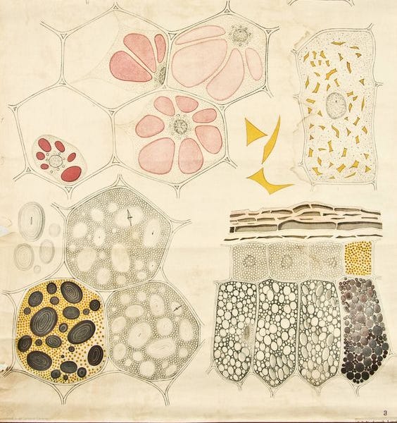 letter eight: rest - by Morgan Greene - FRITH