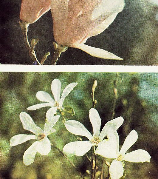 growing up in a bathroom - jupiterian