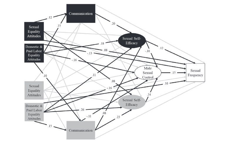 The Man Sloth Diaries - The David Charles Newsletter