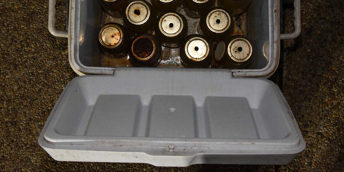 Details on 'QAnon Shaman': Capitol rioter who officials say ...