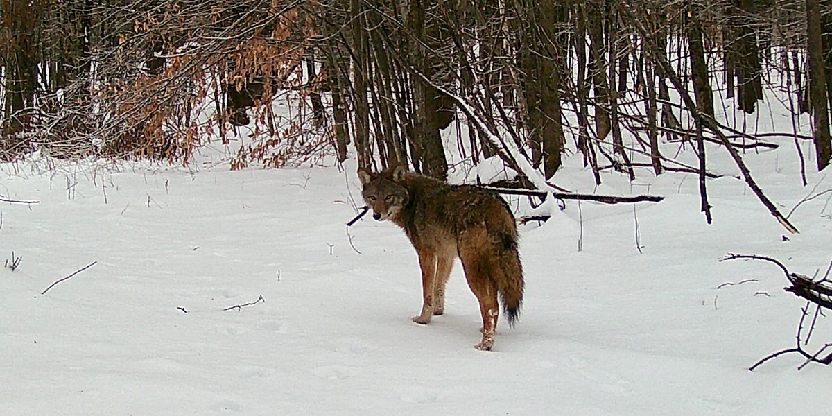 The House We're Not Building (Part 2) - by Brian Cali