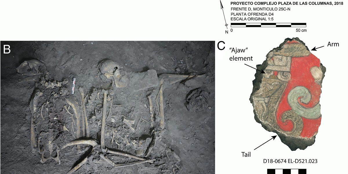 The Ancient Mayan Gift of a Spider Monkey