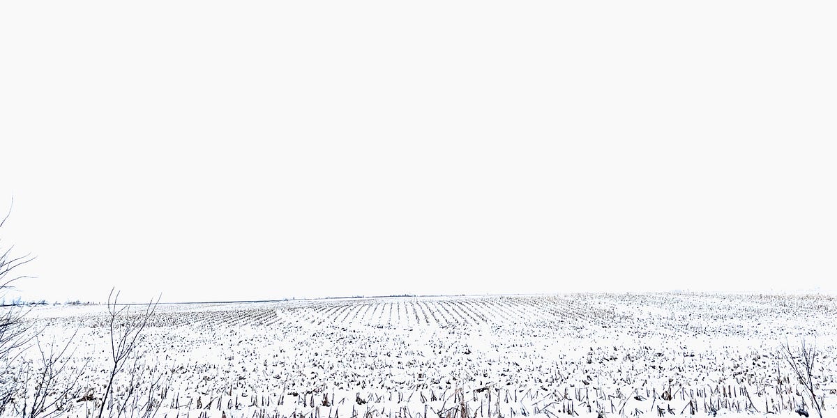 First Snow - by Suzanna de Baca