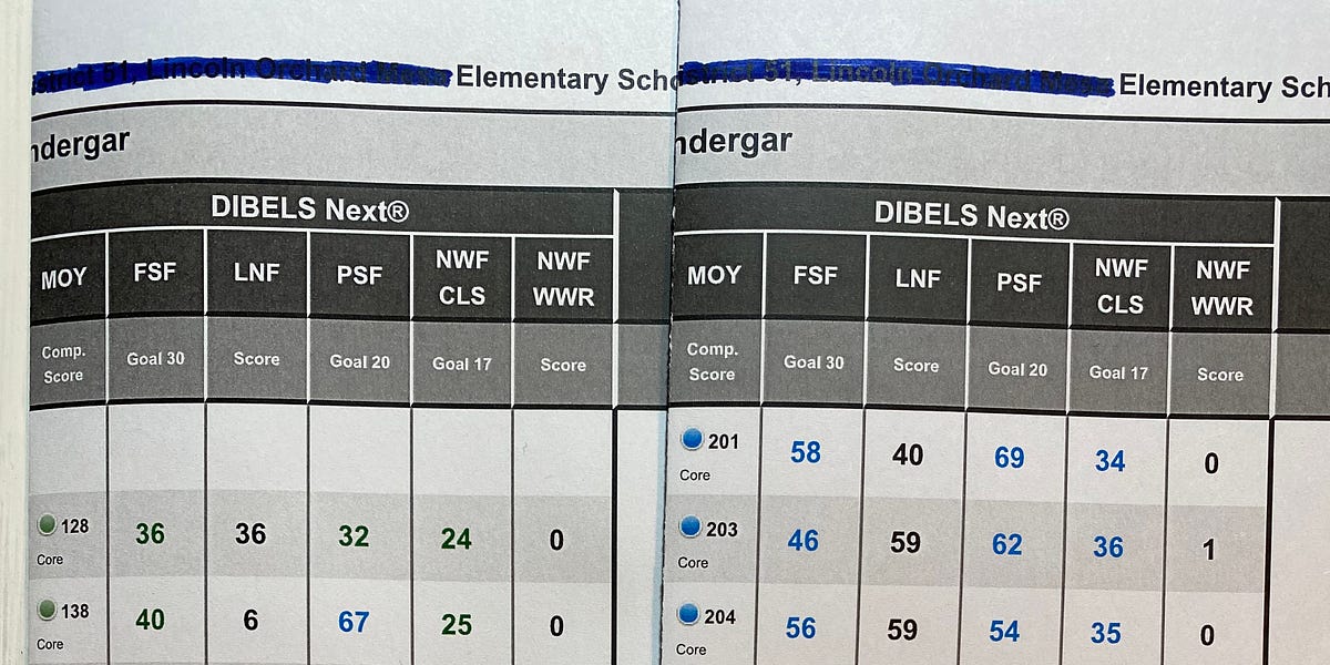 Video: 100% At/Above Level on Middle-of-the-Year DIBELS testing