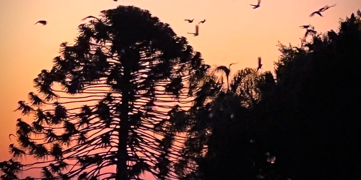 Journal whining can be deadly boring - by Joyce Wycoff