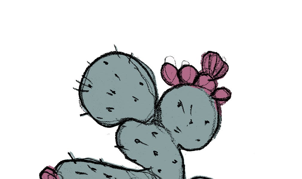 Turksvy – die zine - Turksvy