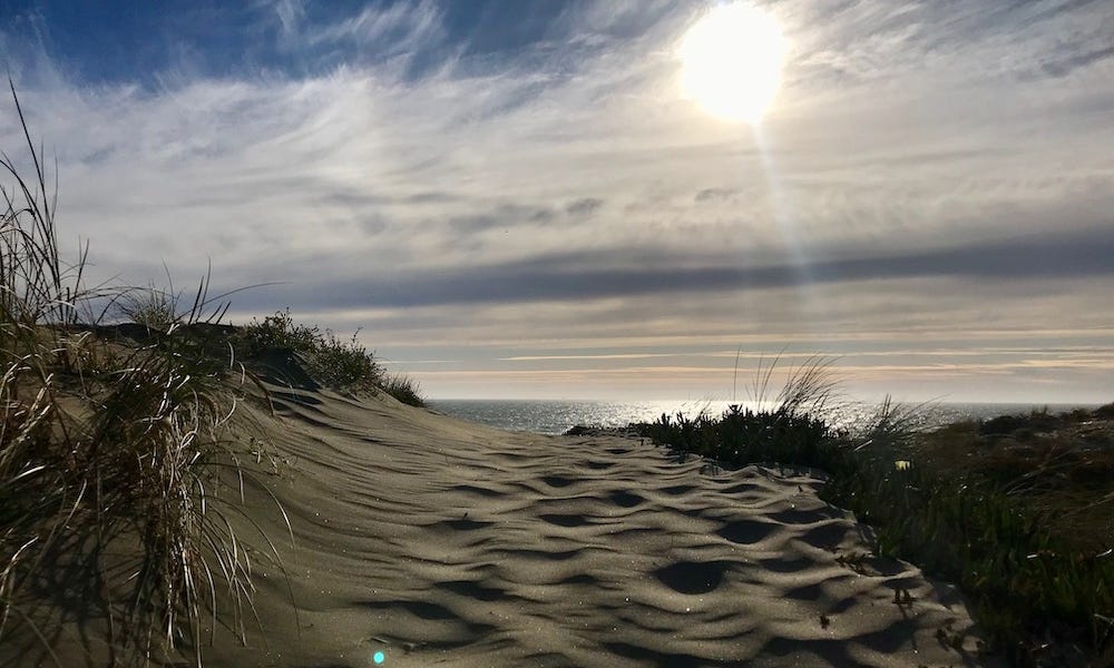 The Breeze - Issue #21 - by Tommy Leep - The Breeze