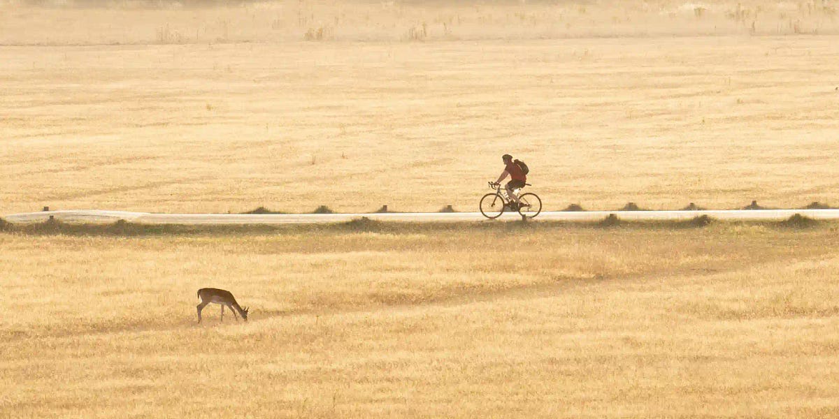 Gracias por traernos - by Diego Geddes