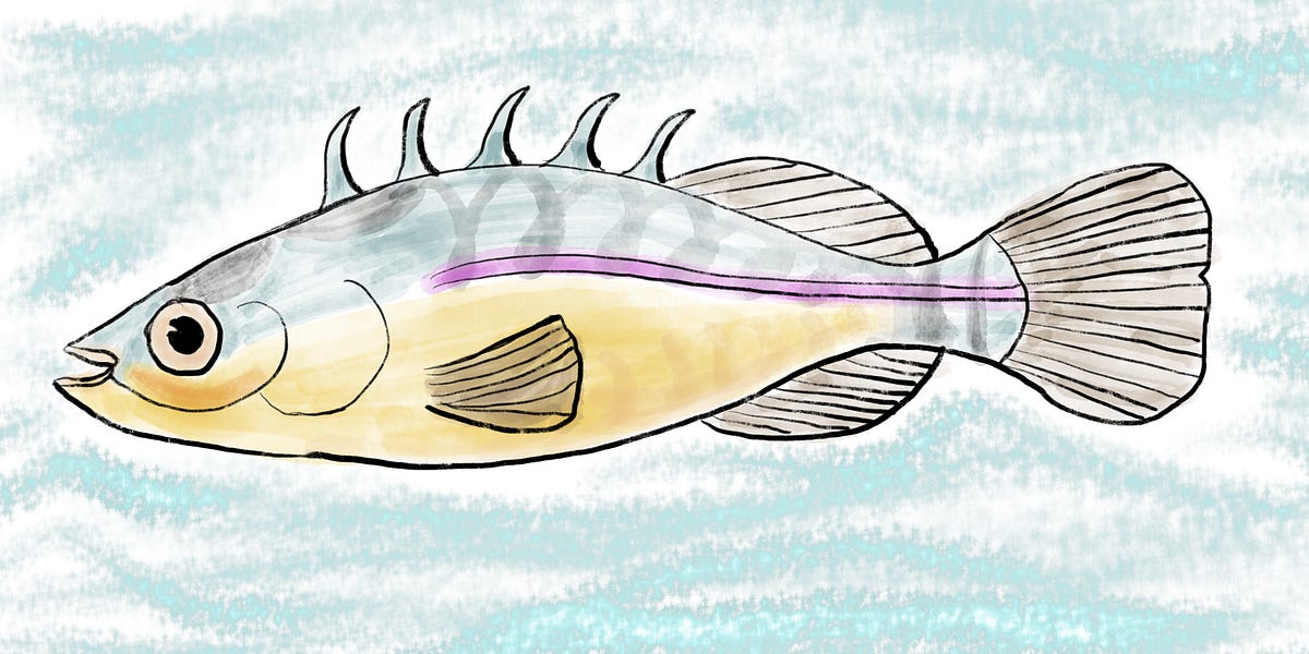 116: Brook Stickleback - by Bix - Colorado Wildlife