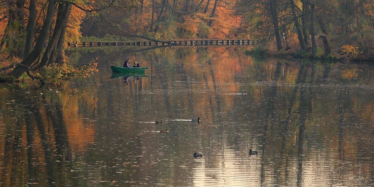 Comments - October 22, 2022 - by Heather Cox Richardson