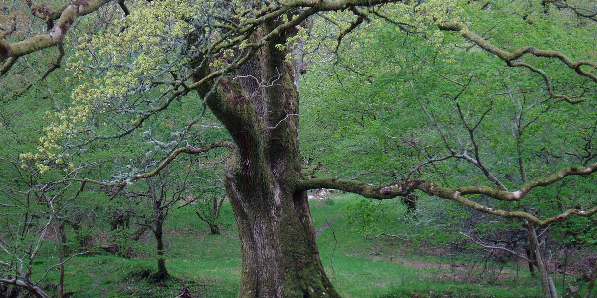 Mother Nature Calls - by JP Brennan - JP’s Newsletter