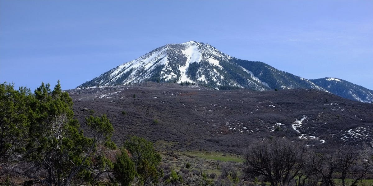 Species ranges as a quintessential biological problem