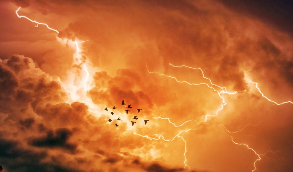 Reflection #37: Divine Violence/ A.J. Hendry