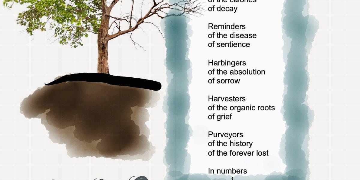Ecological Statisticians - by Liz Kover - Lizz-Buzz