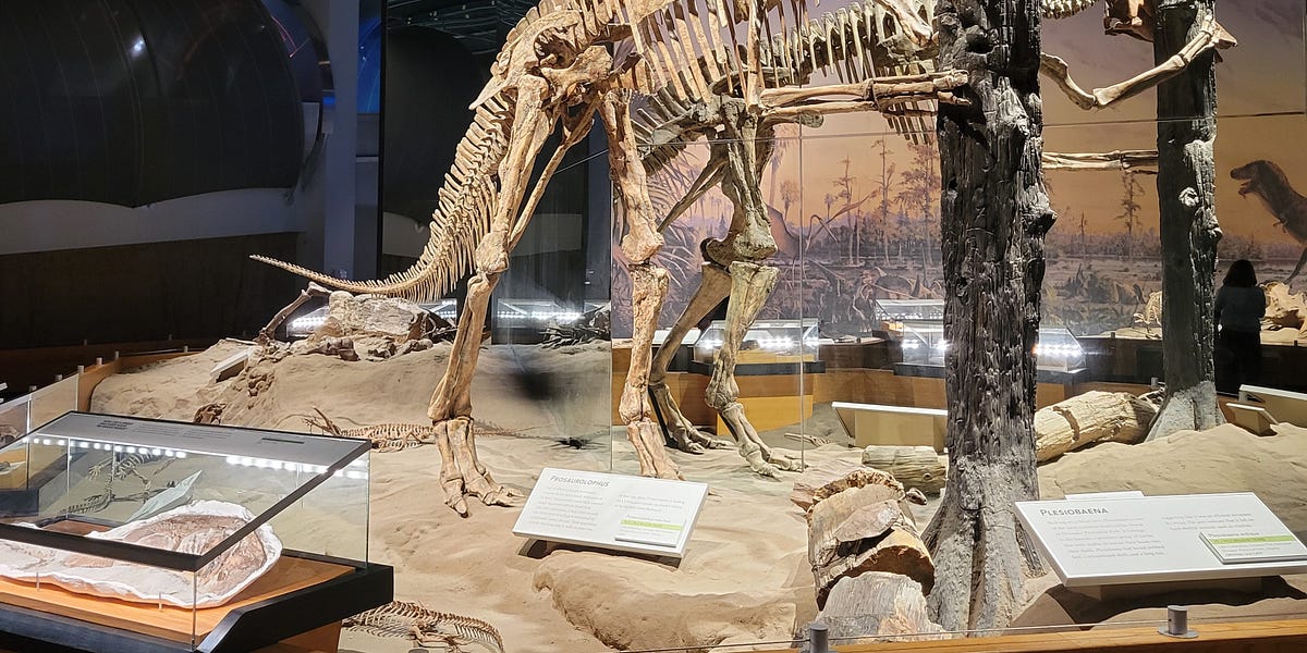 "Ma, why did the humans go extinct?" - by Karena