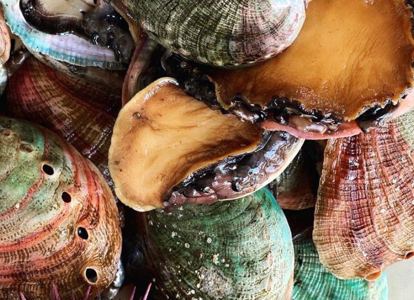 Eating Abalone with a Mermaid - by Georgia Freedman