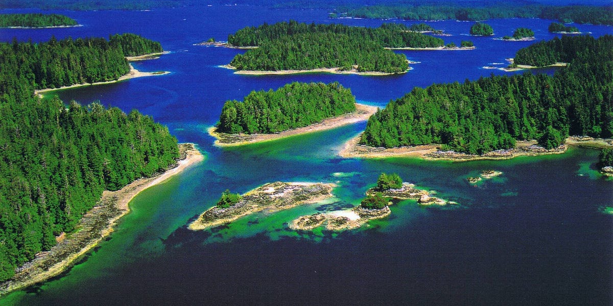 Creating Islands of Safety for Victims of Violence - A Social Work Tool ...