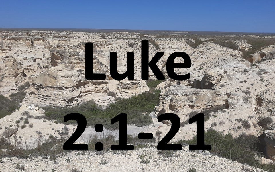 Luke 2:1-21: Jesus' Birth - by Karen Hoffman