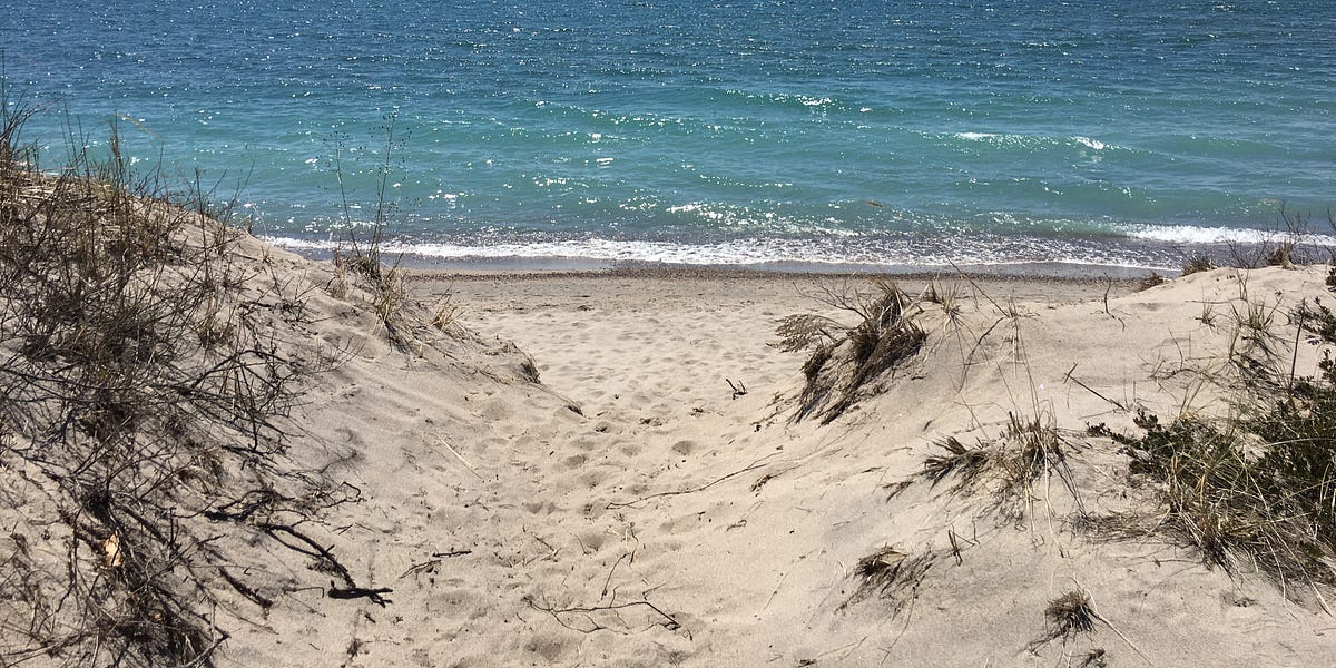 Freeing Peterson - by Peter Limberg - Less Foolish