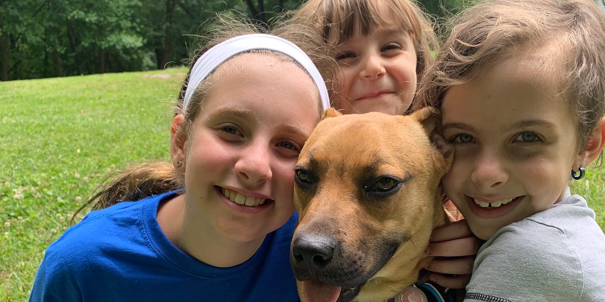 Rest In Peace, Ginger - by Jane Ehrenfeld