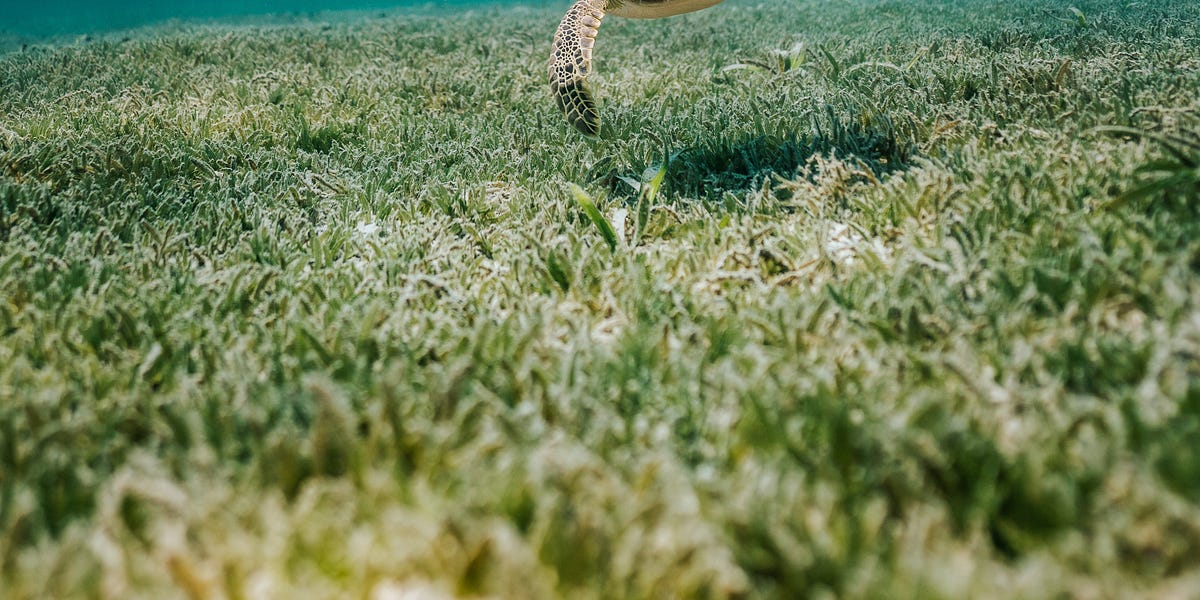 A Complete Portfolio Review - by Luke Wolgram