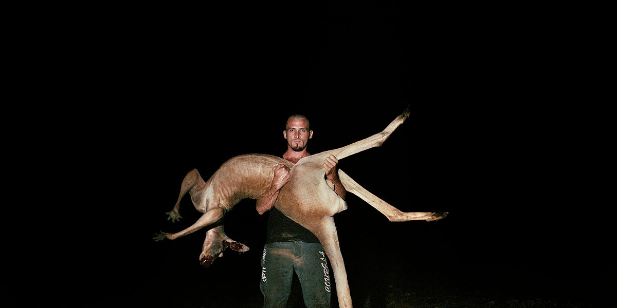 Roo Shooter - Adam Ferguson