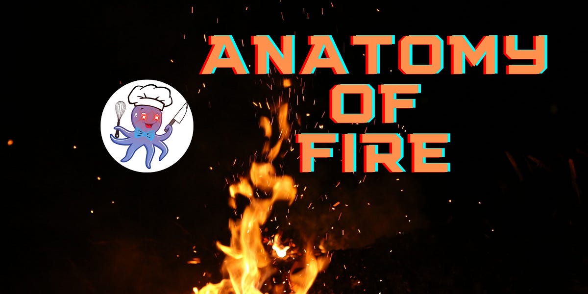 Anatomy of Fire 🔥 - by BowTiedOctopod