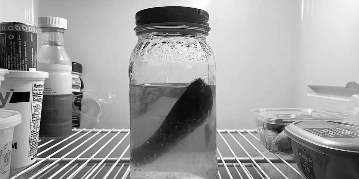 Relationship advice - by Allan Stormon - Thought Dumpling