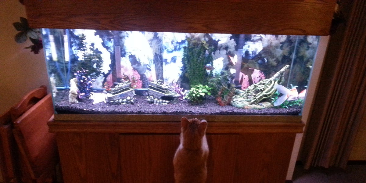 Preface - by Macrobius - The Saturnalia