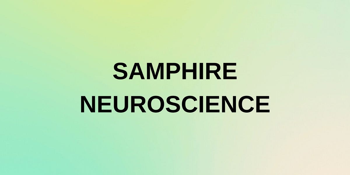 Conversation with Emilė Radytė: building neurotechnology for women