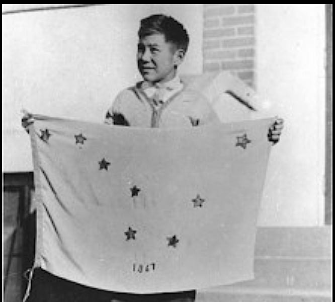 Alaska's Flag - by Helen Hegener - Northern Light Media