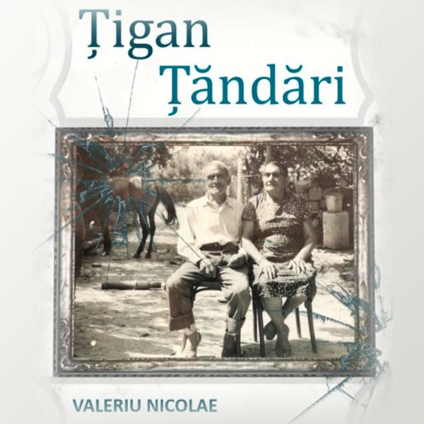 Țigan țăndări – încercare de recenzie - by Maria Cernat